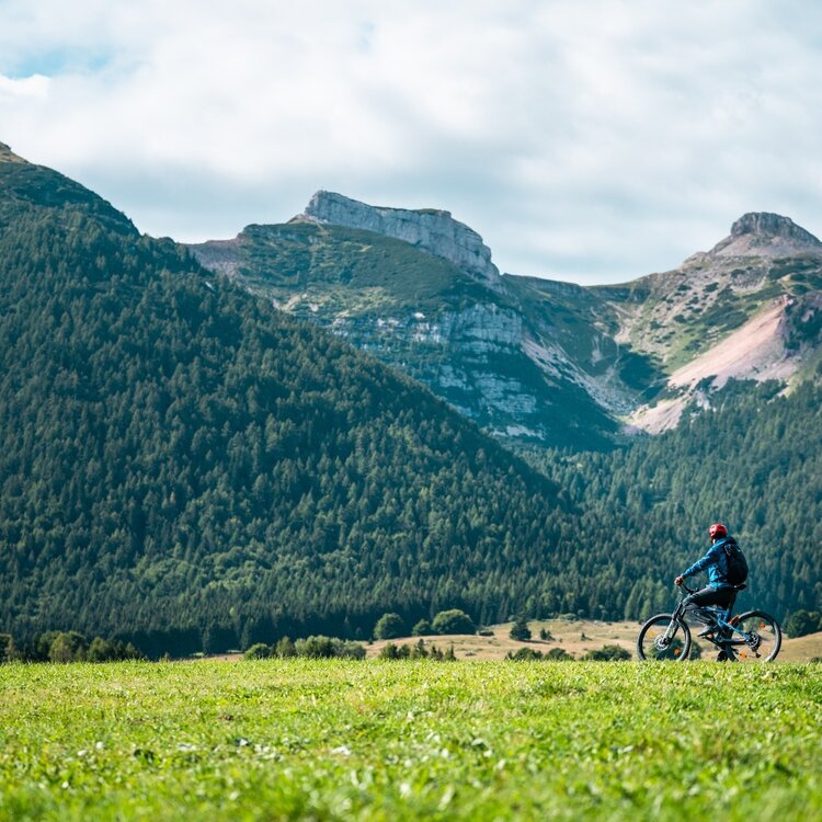 MTB Circuit | Mezavia - Vason - VALLELAGHI